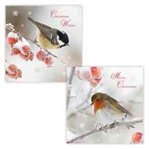 Charity Christmas Cards 2022, Fully Recyclable | RSPB Shop