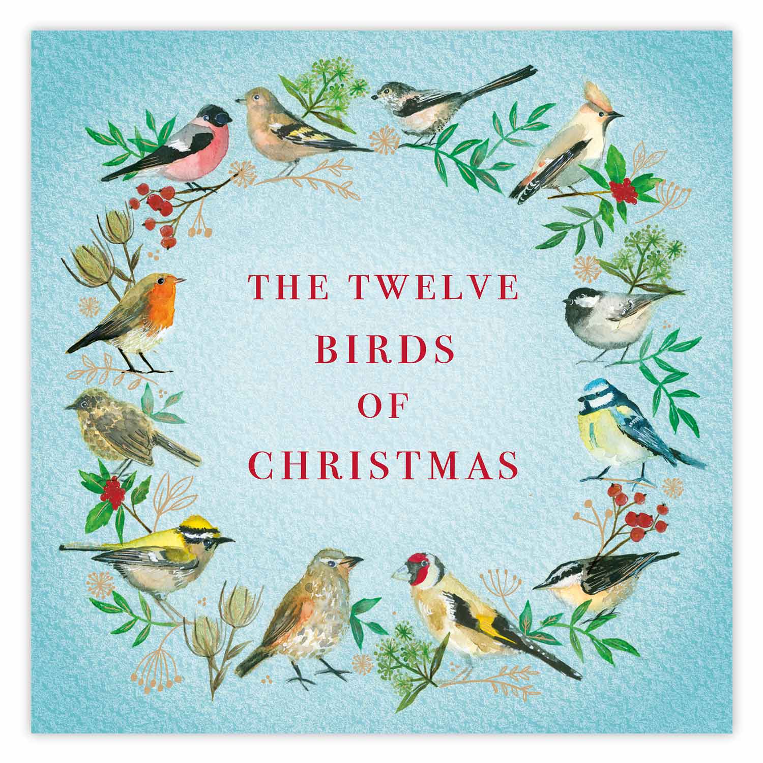 Charity Christmas Cards 2022, Fully Recyclable | RSPB Shop