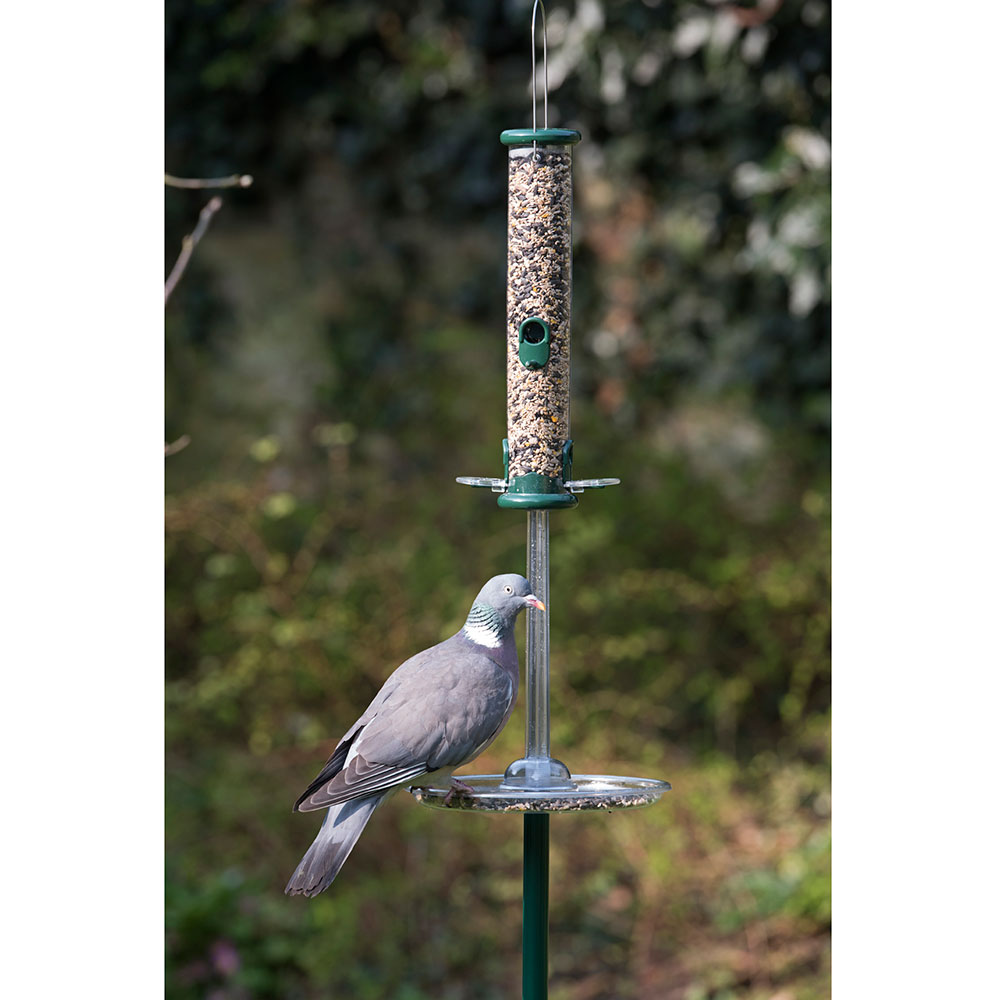 Bird Feeder Rain Guard | Rain Away - RSPB Shop