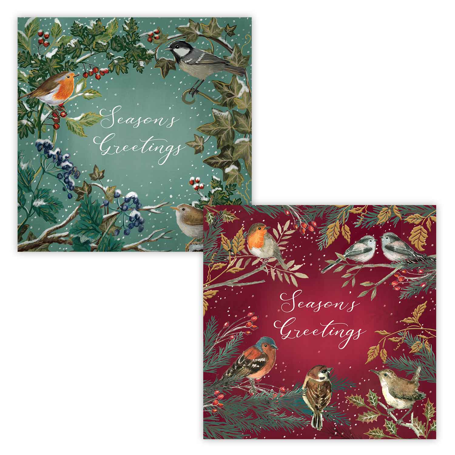 Charity Christmas Cards 2022, Fully Recyclable | RSPB Shop