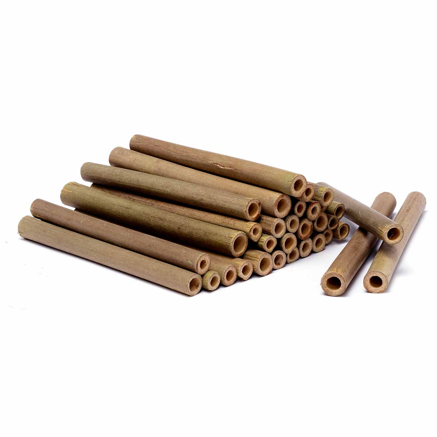 Bee Tubes | Bamboo Solitary Bee Nesting Tubes (50 pack) - RSPB Shop