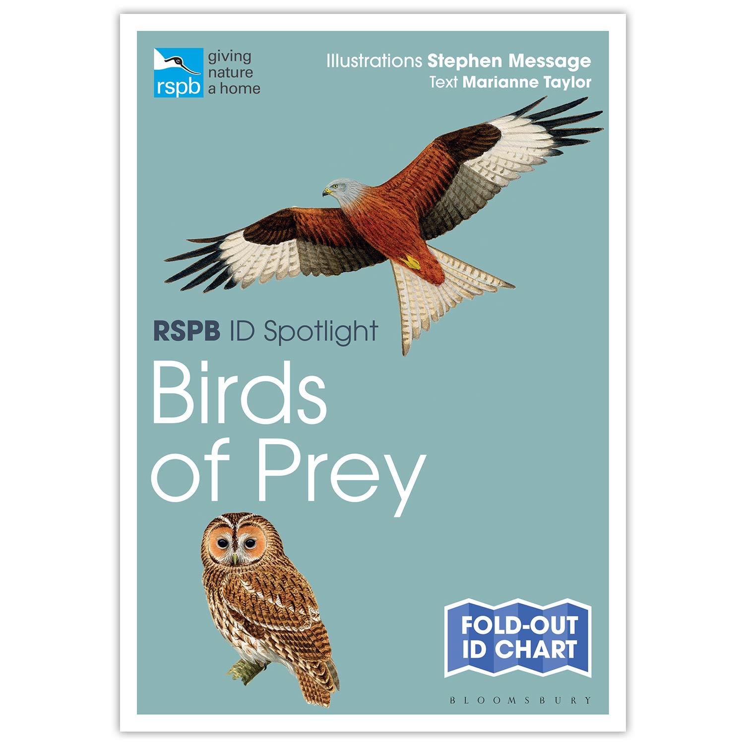Birds of prey identifier chart - RSPB ID Spotlight series - RSPB Shop