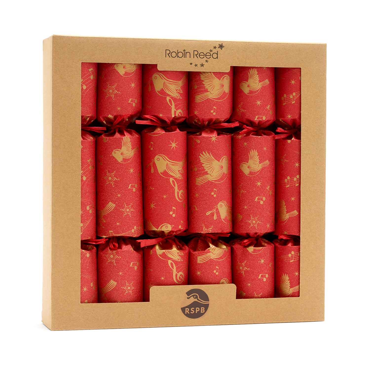 Eco-Friendly Christmas Crackers, Fully Recyclable | RSPB Shop
