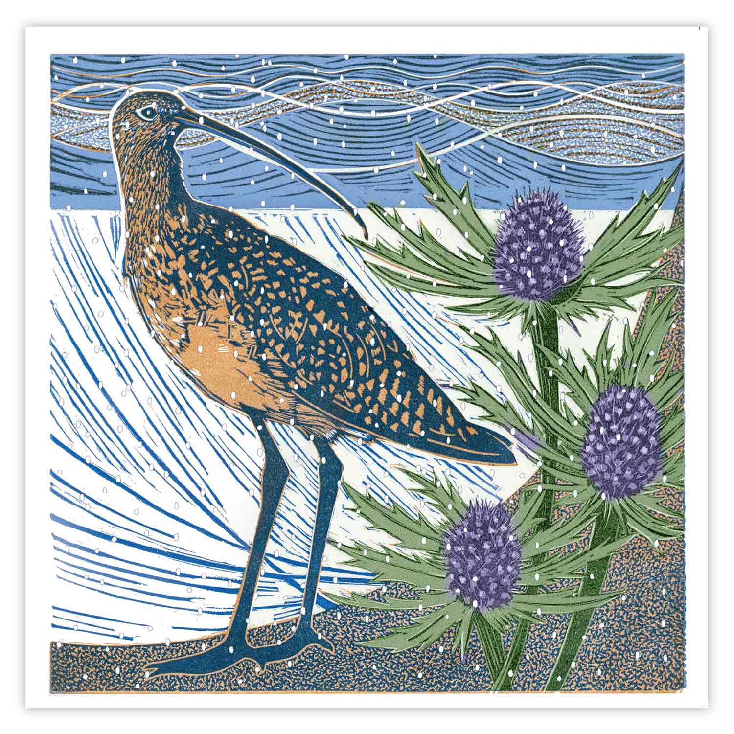 Charity Christmas Cards 2022, Fully Recyclable | RSPB Shop