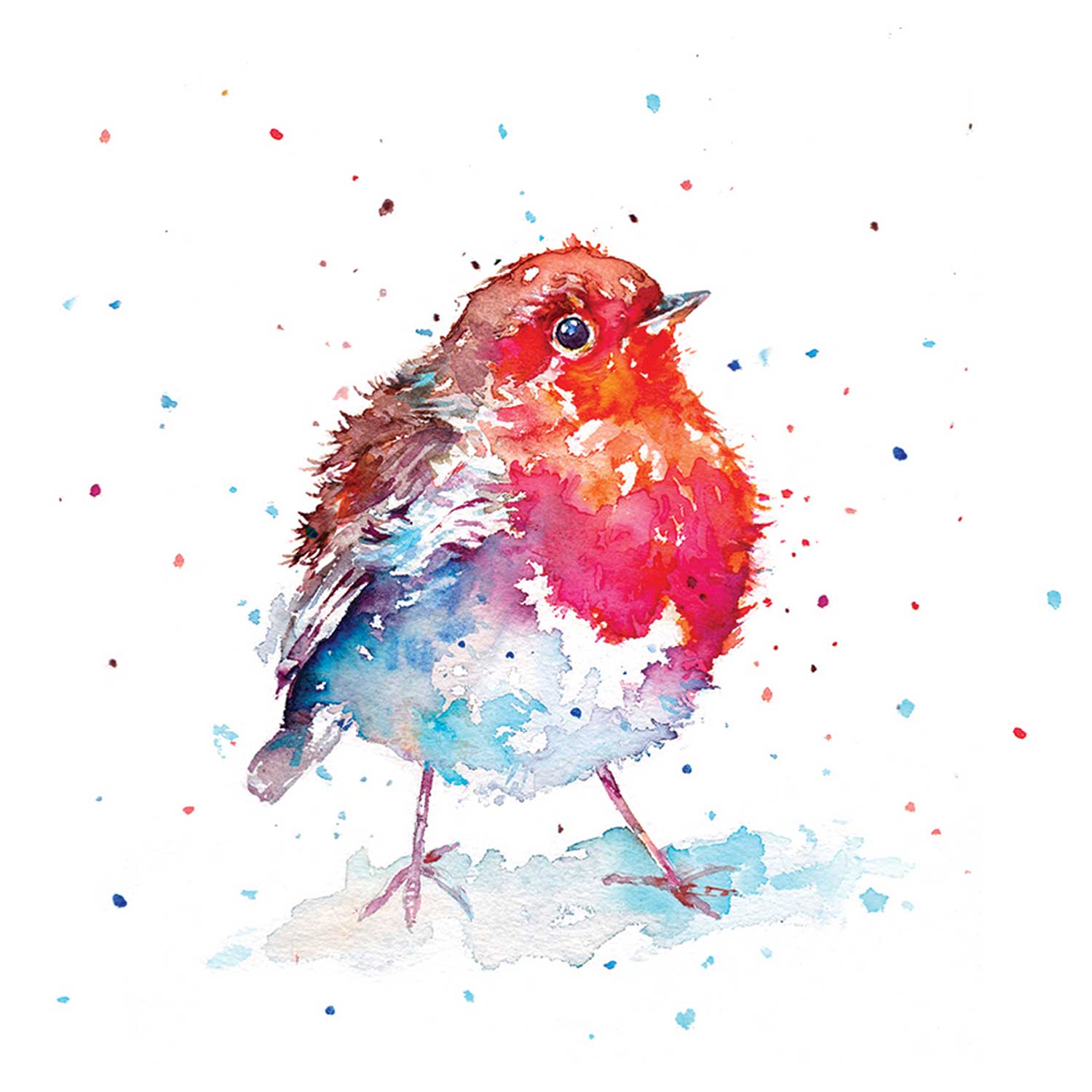 Charity Christmas Cards | Recyclable & Eco Friendly - RSPB Shop