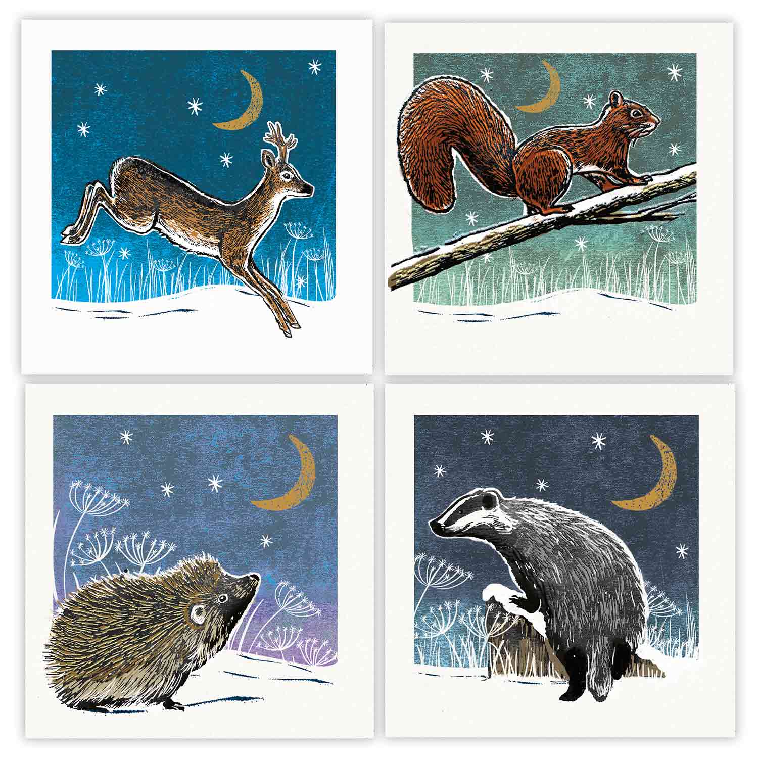 Charity Christmas Cards 2022, Fully Recyclable | RSPB Shop