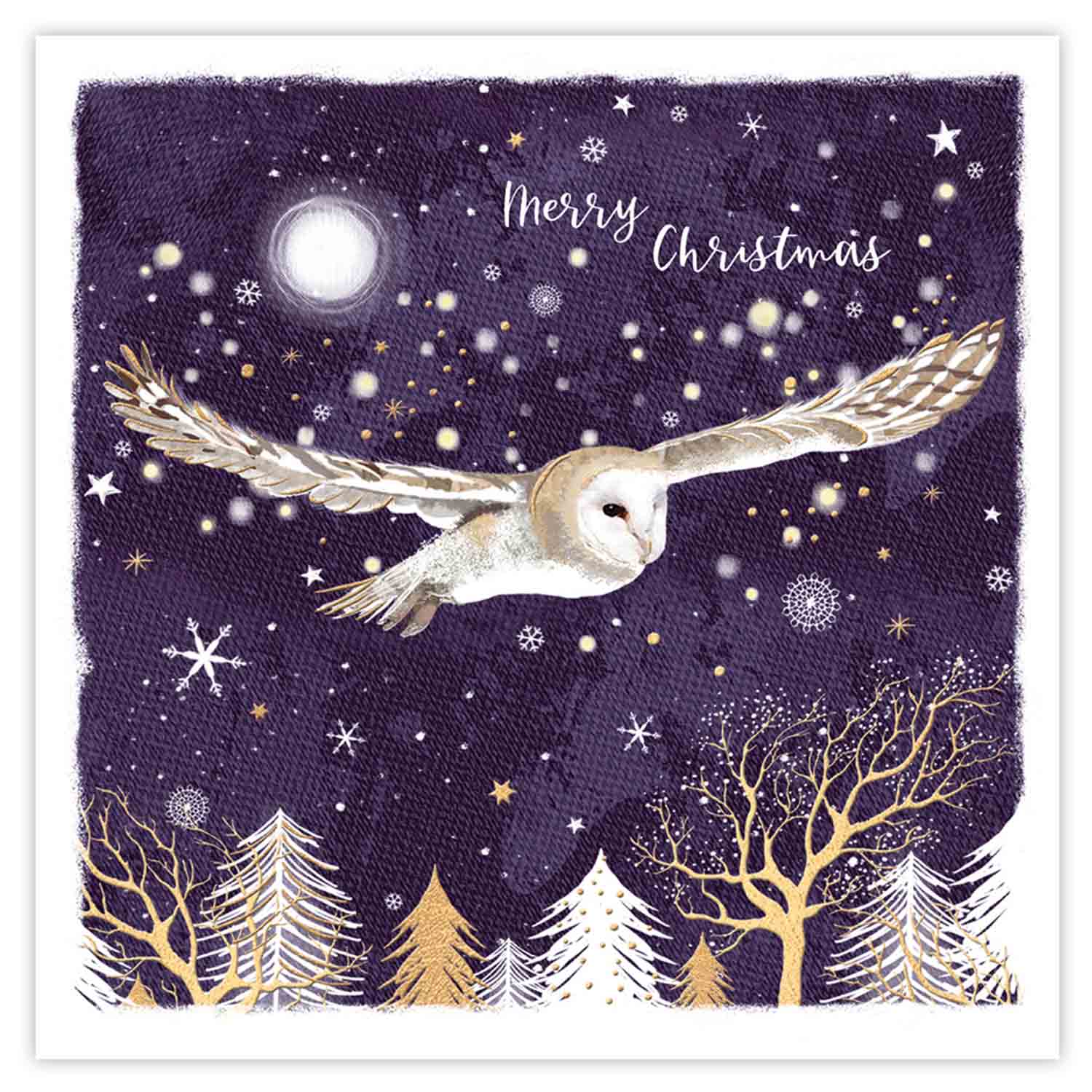 Charity Christmas Cards 2022, Fully Recyclable | RSPB Shop