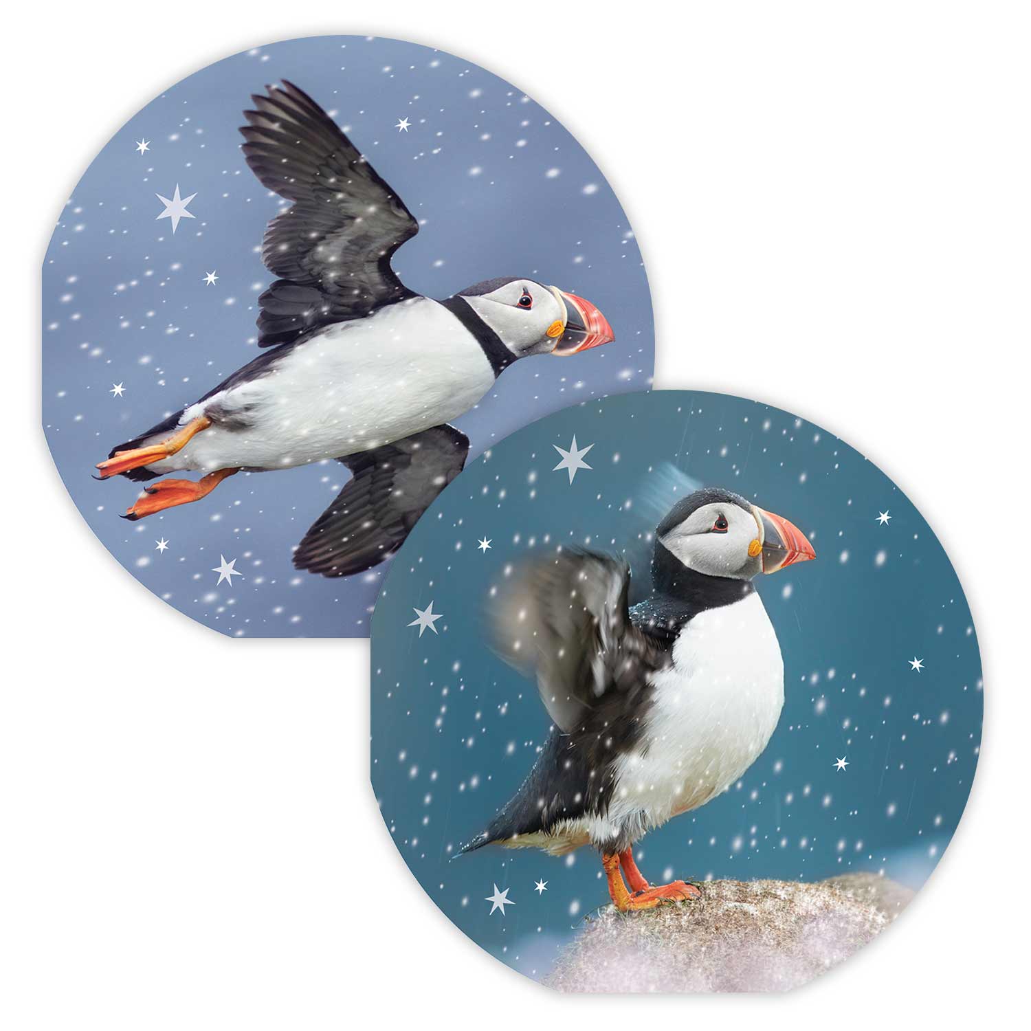 Charity Christmas Cards 2022, Fully Recyclable | RSPB Shop