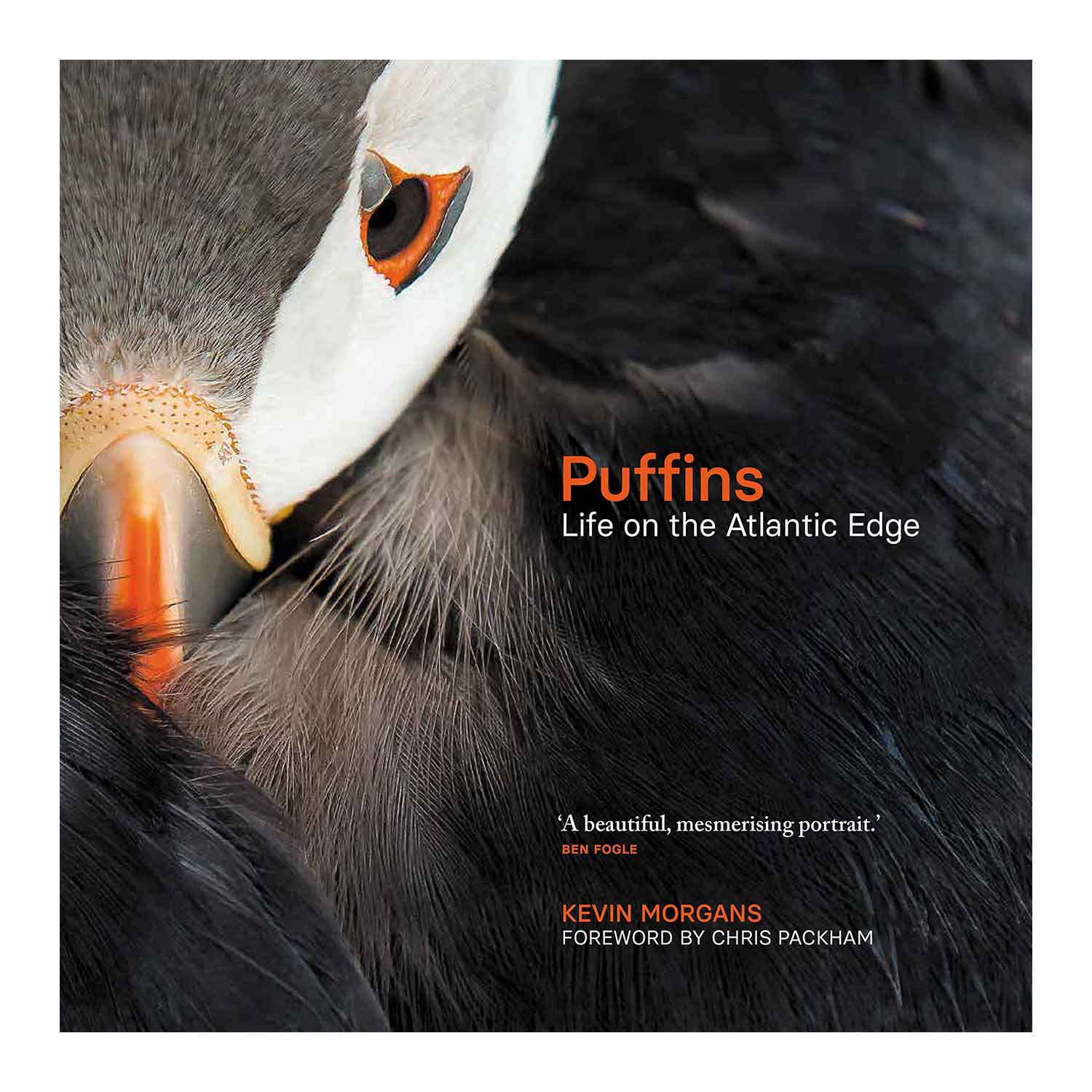 Puffin gifts - Gift ideas - save nature while you shop