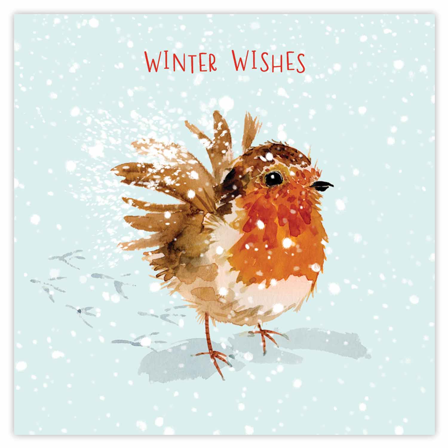 Charity Christmas Cards 2022, Fully Recyclable | RSPB Shop
