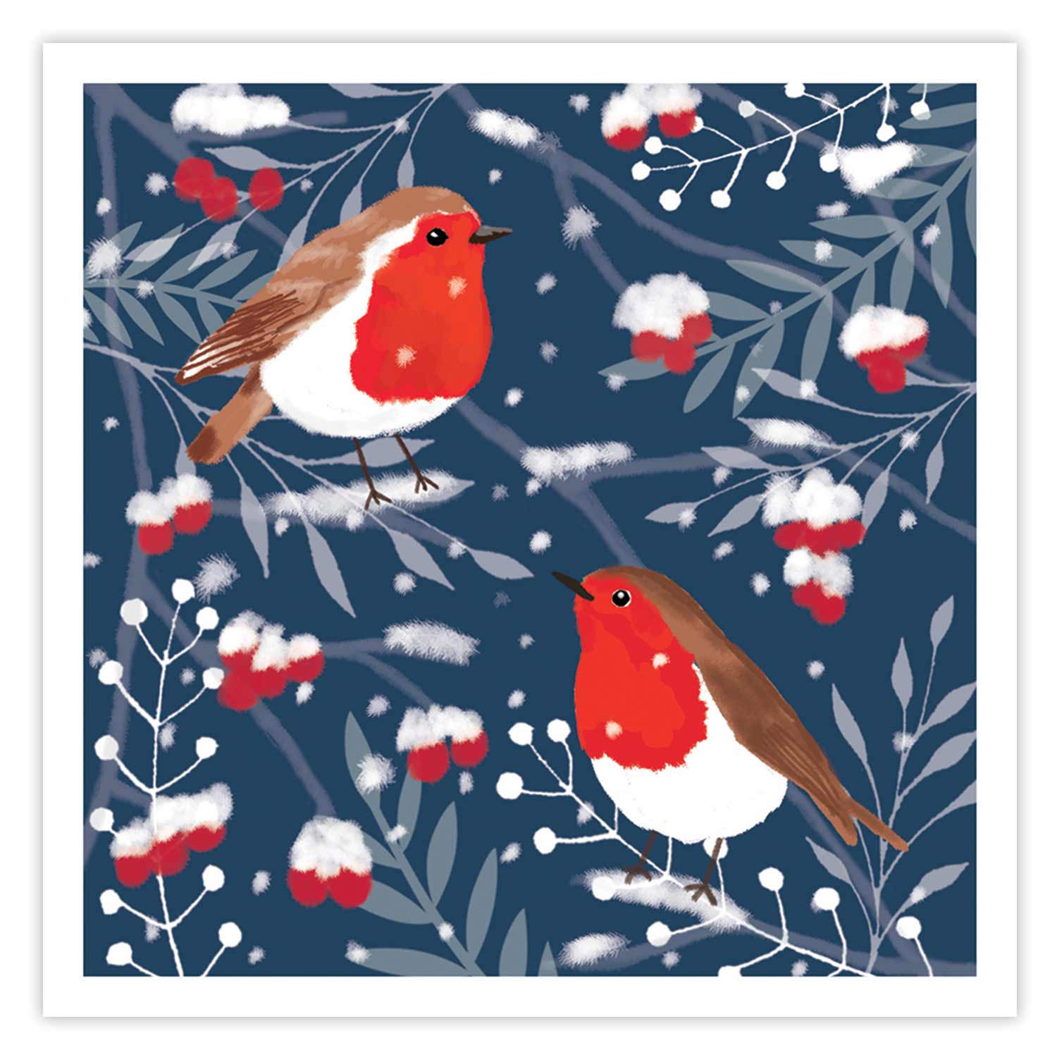 Christmas Essentials | Cards, Decorations, Games - RSPB Shop