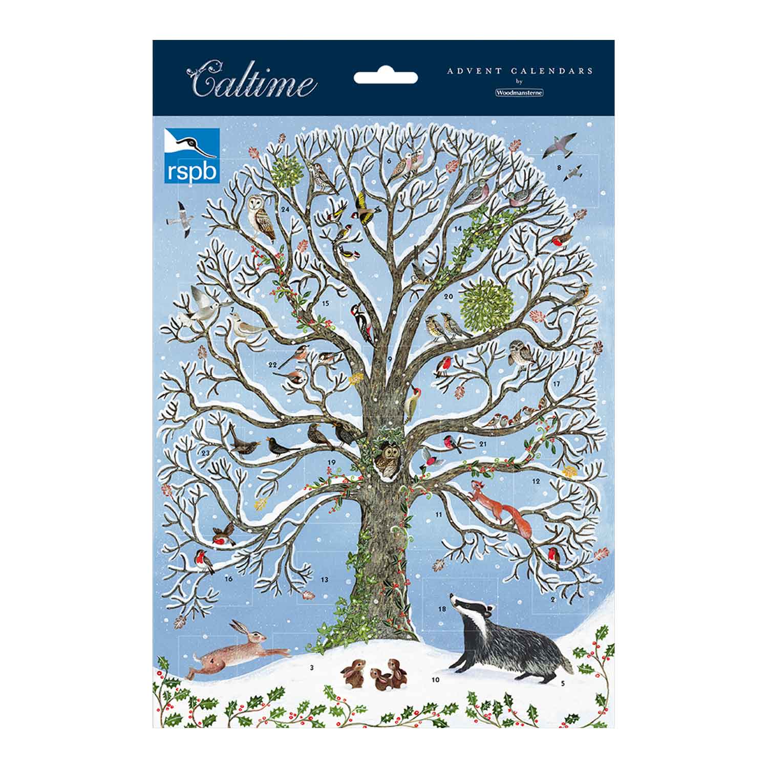 Christmas Essentials | Cards, Decorations, Games - RSPB Shop