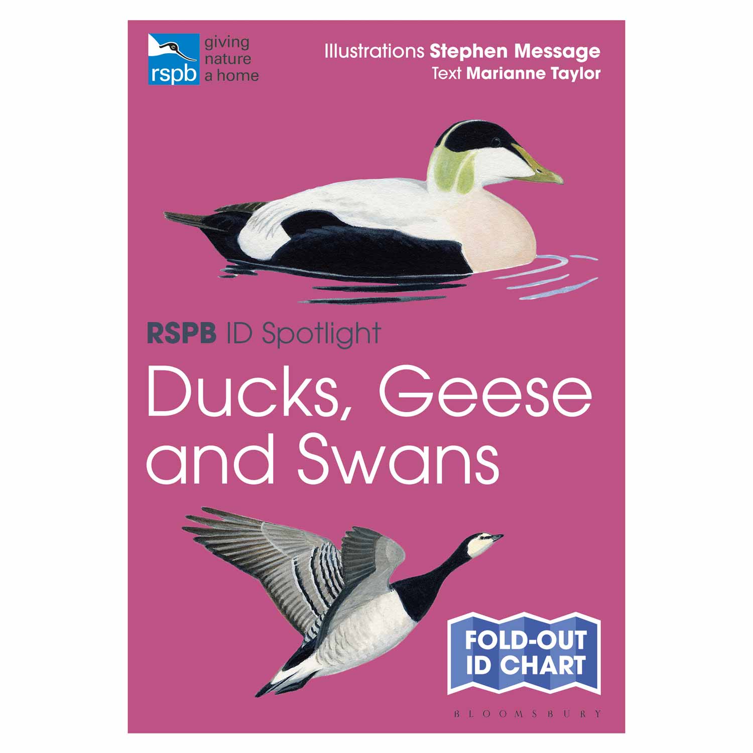 Bird Identifier Charts | Raptors, Garden & Coastal Birds - RSPB Shop