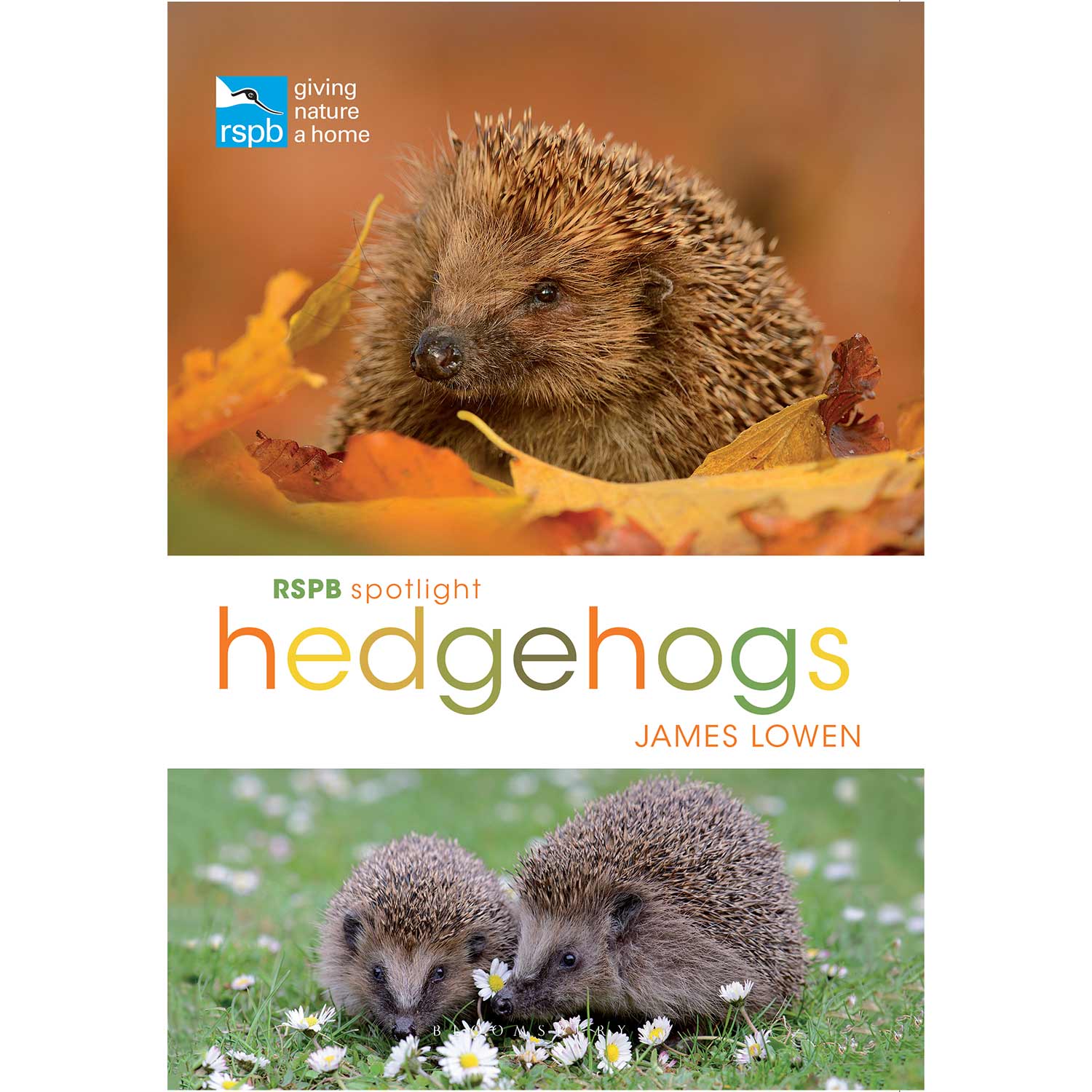 Wildlife Homes, Nestboxes and Gardening - RSPB Shop