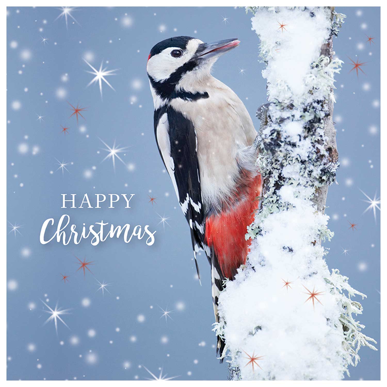 Charity Christmas Cards | Recyclable & Eco Friendly - RSPB Shop