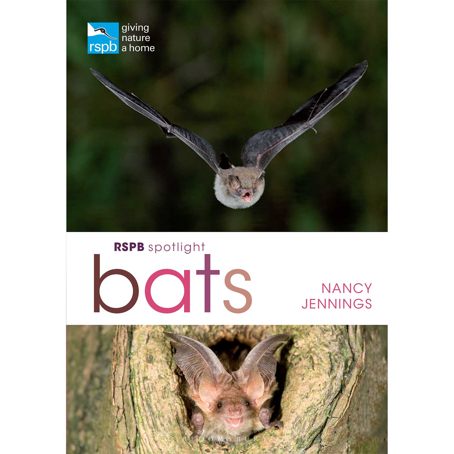 A Guide to British Bats Fold-out Chart - RSPB Shop