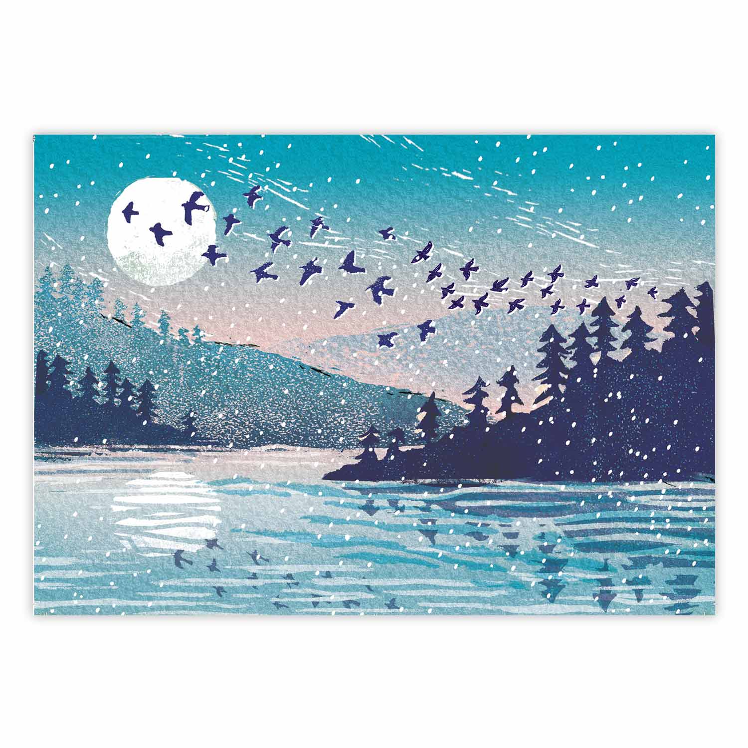 Charity Christmas Cards 2022, Fully Recyclable | RSPB Shop
