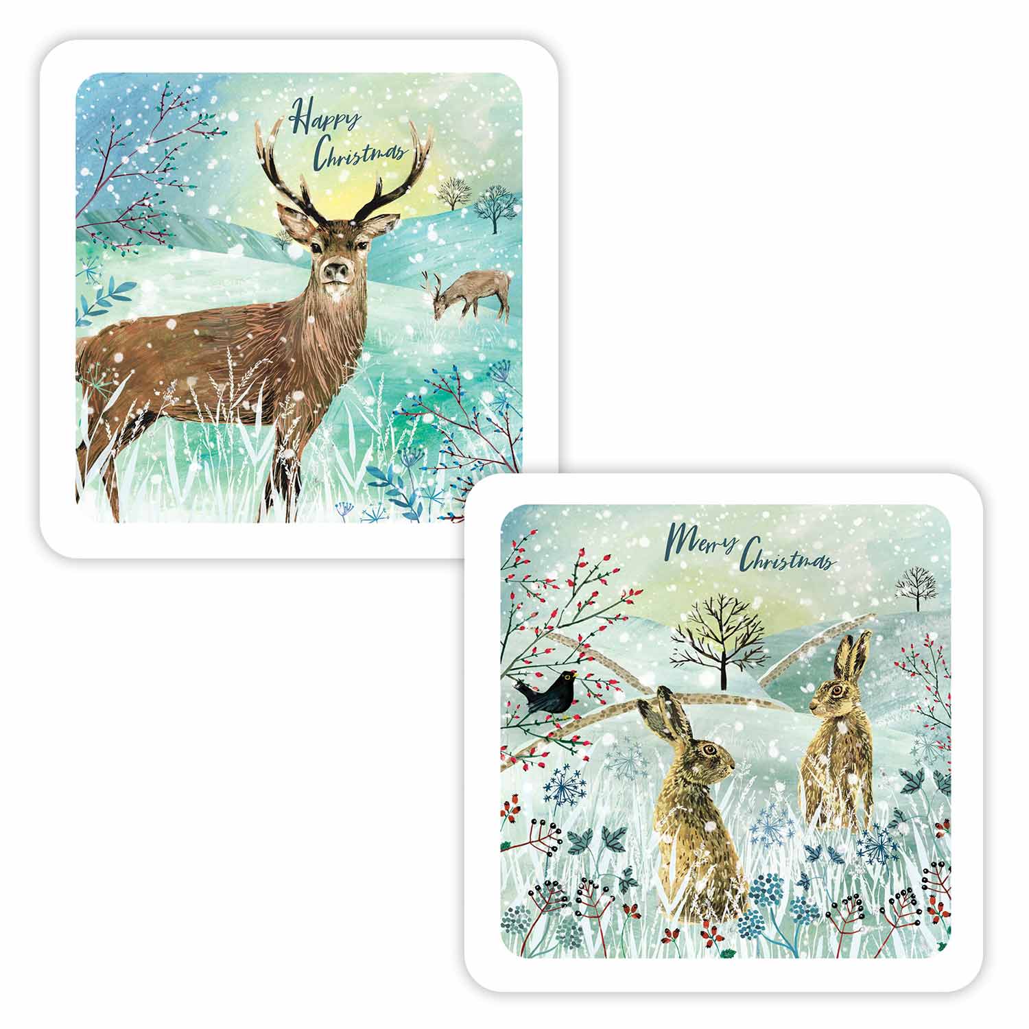 Charity Christmas Cards 2022, Fully Recyclable | RSPB Shop