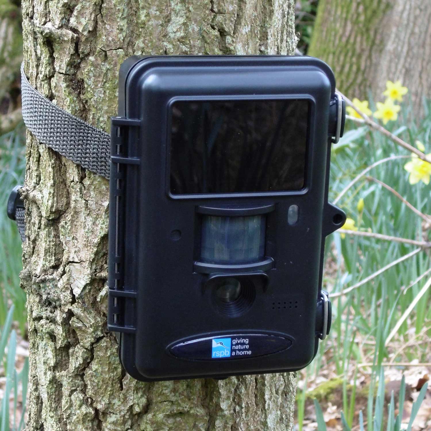 Wireless Nest Camera - Solar Powered, Wifi | RSPB Shop
