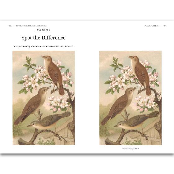 RSPB Great British Birdwatcher's Puzzle Book - RSPB Shop