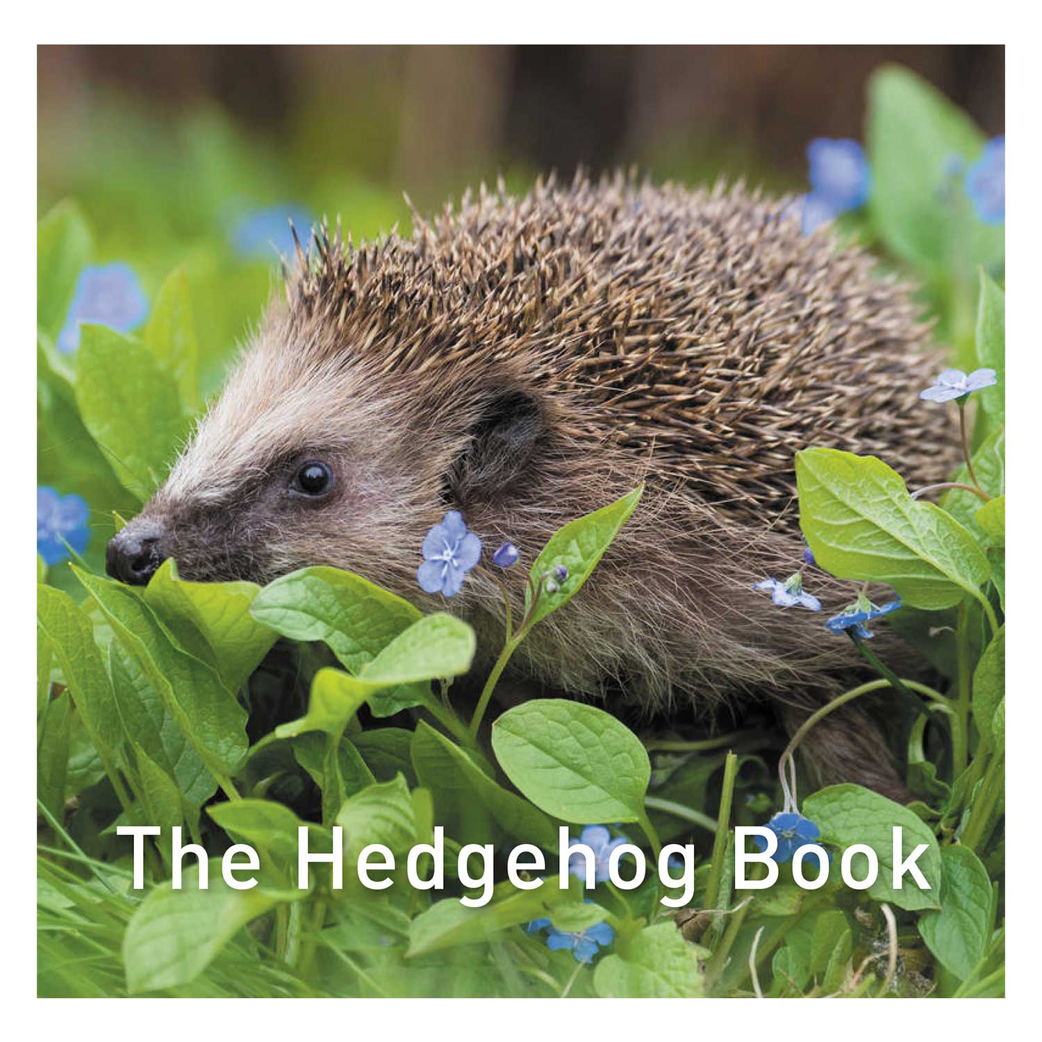 Book Gifts | Art, Gardening & Wildlife Books - RSPB Shop