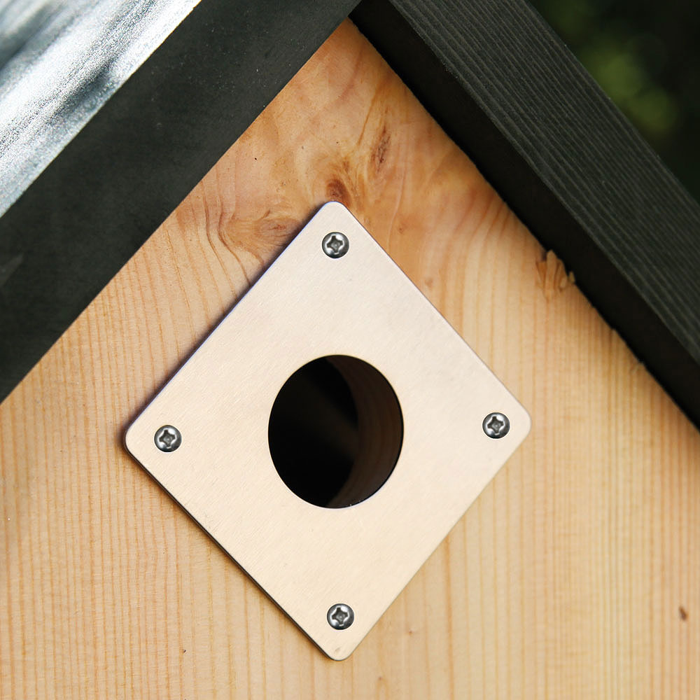 Nest Box Plates Small Entrance - RSPB Shop