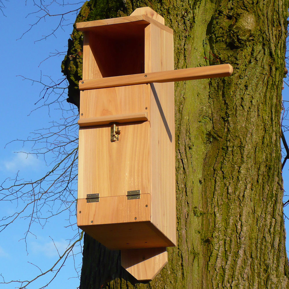Owl Houses | Tawny Owl Nest Box - RSPB Shop