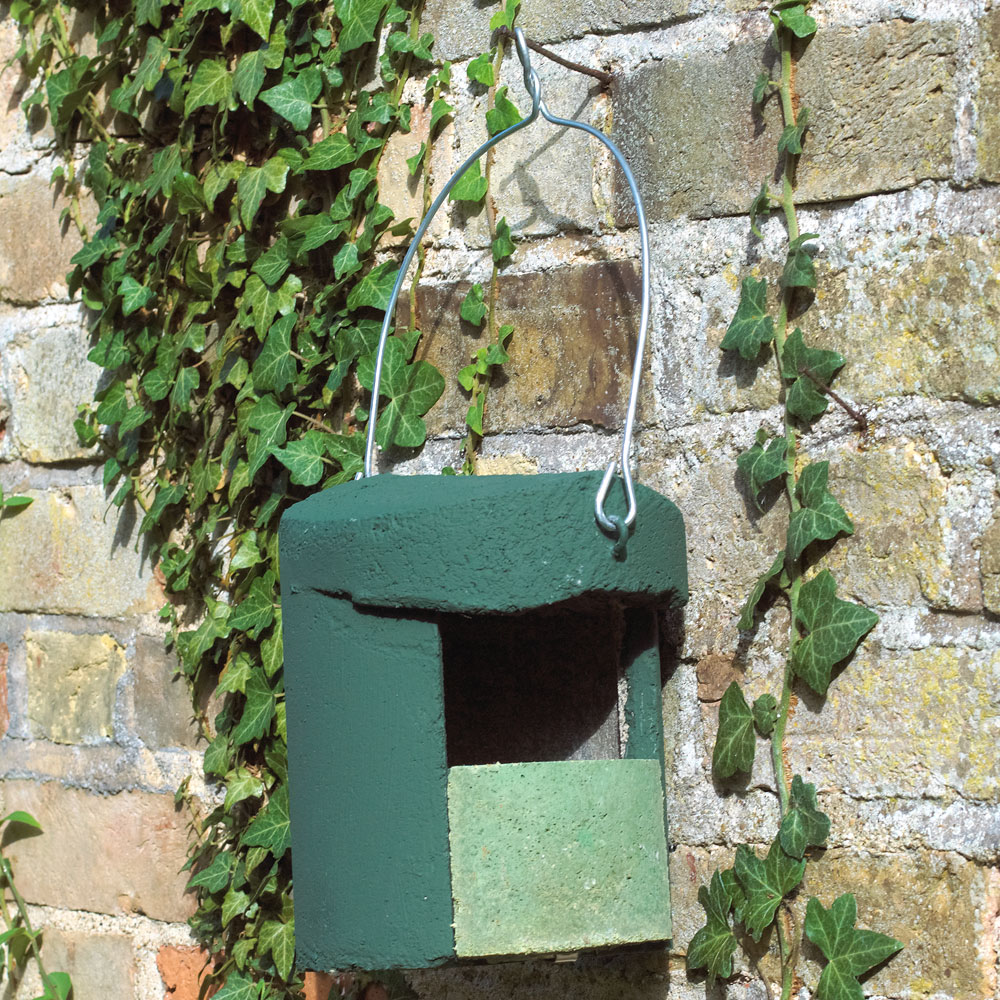 Schwegler Open-Front Nestbox | Wild Bird Nests - RSPB Shop