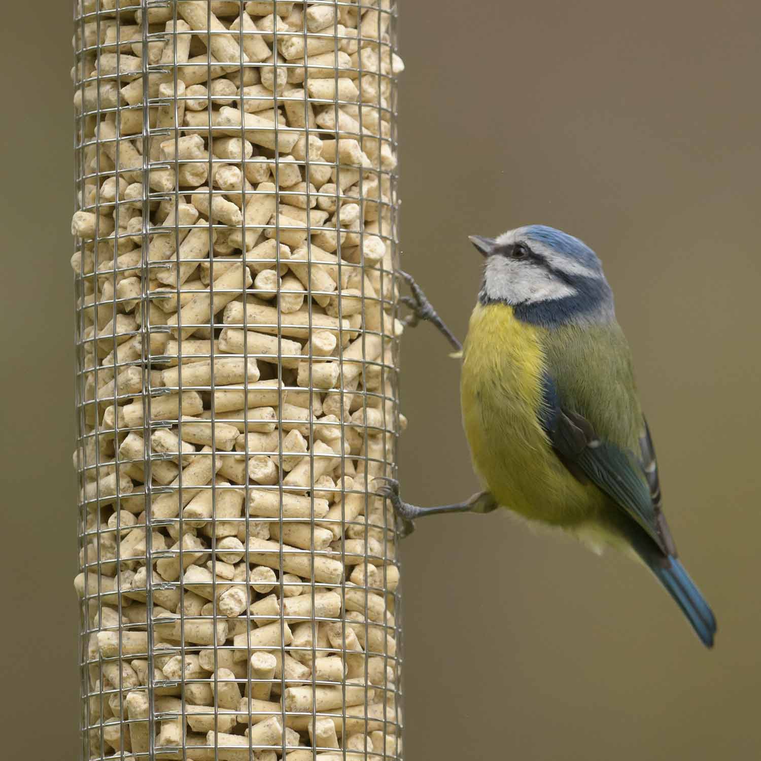 New Range | RSPB Gifts, Bird Care, Home, Garden & More - RSPB Shop