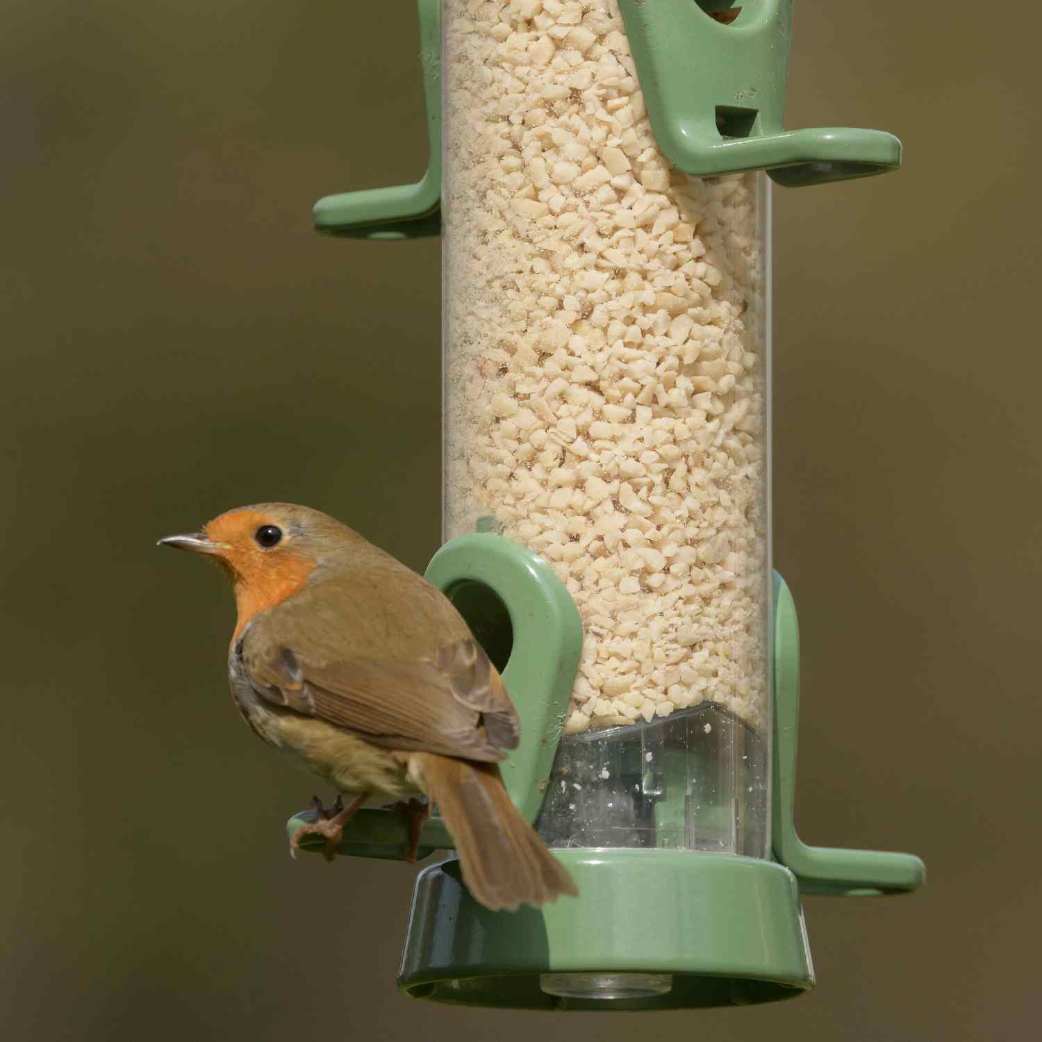 New Range | RSPB Gifts, Bird Care, Home, Garden & More - RSPB Shop