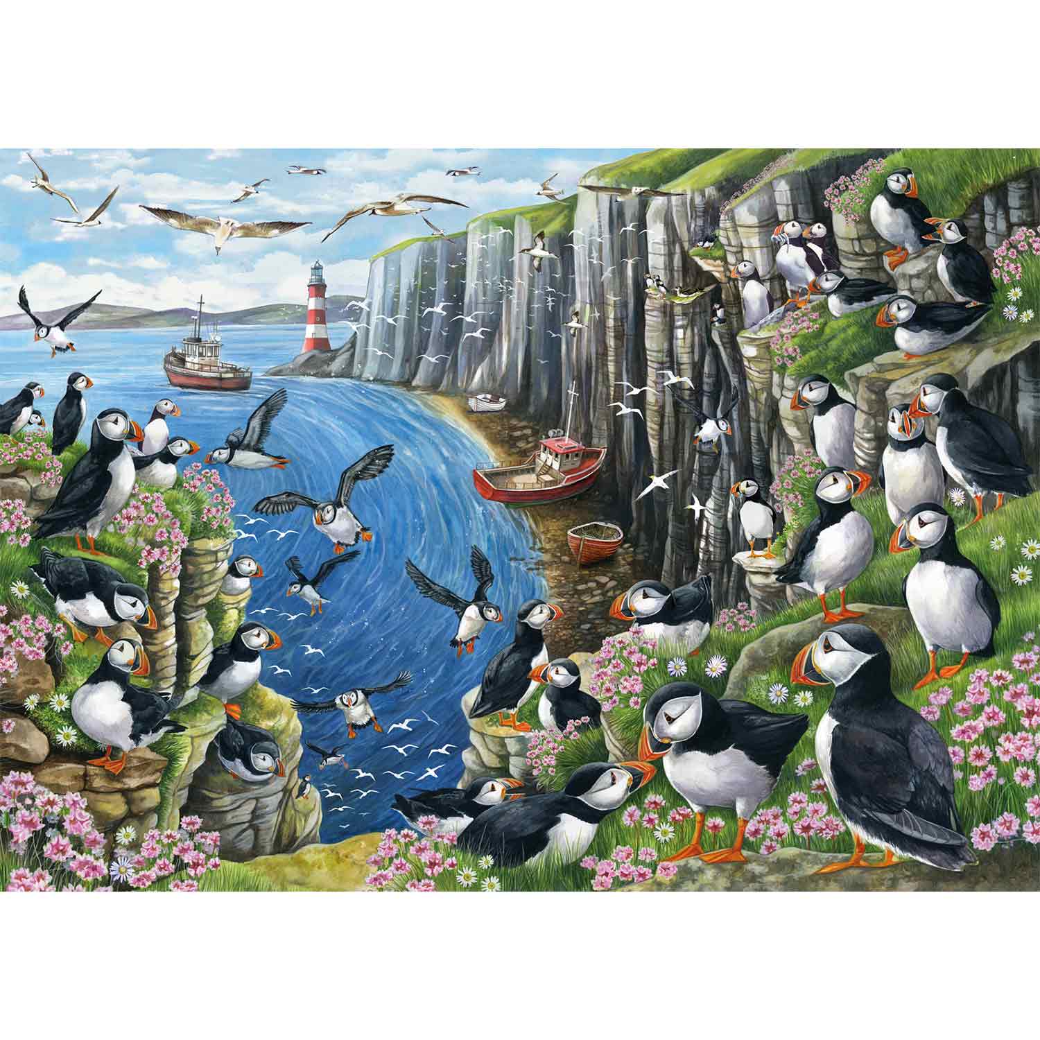 Clifftop View Puffin Jigsaw, 1000-piece - RSPB Shop
