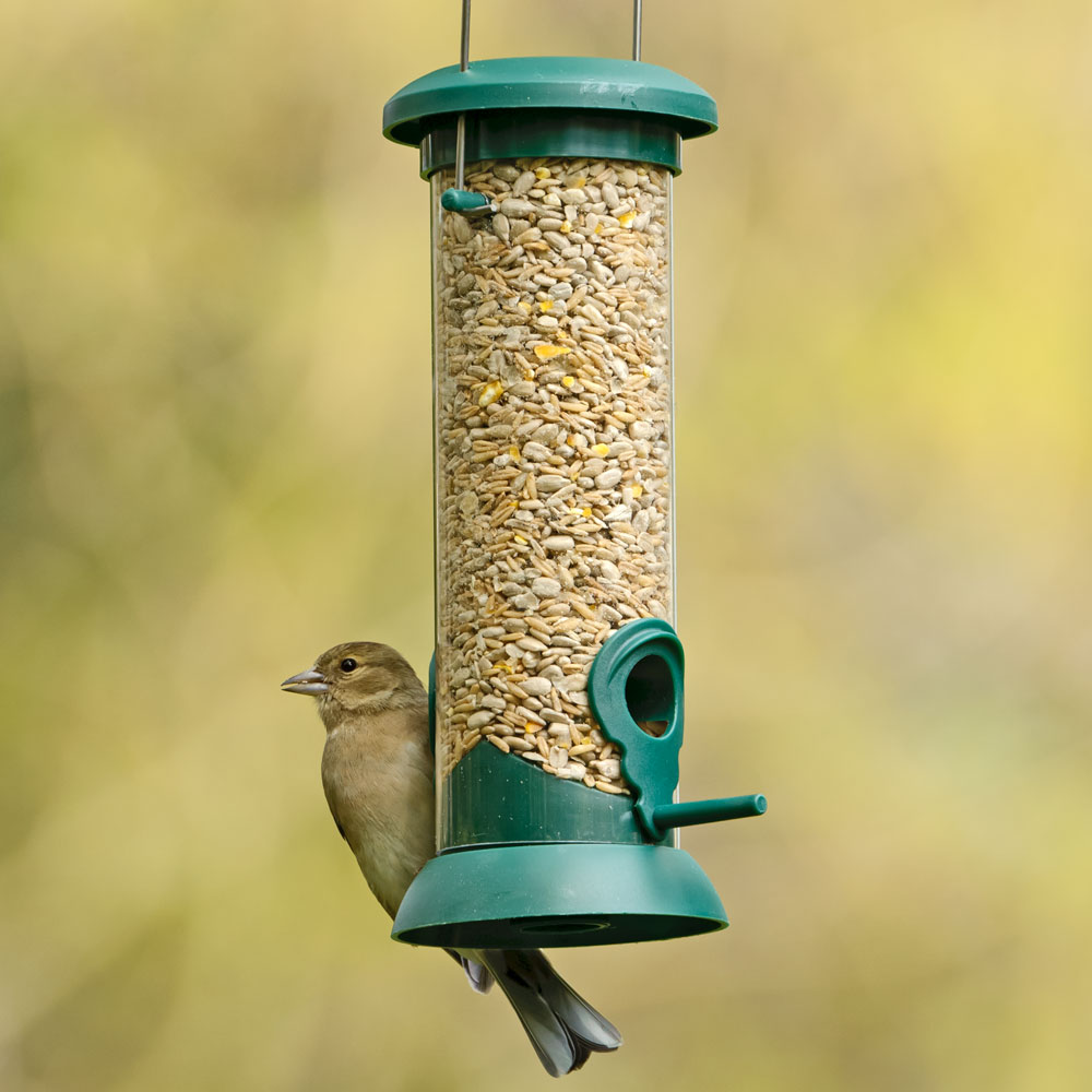 Cheap Bird Feeders & Tables | Bird Care Offers - RSPB Shop