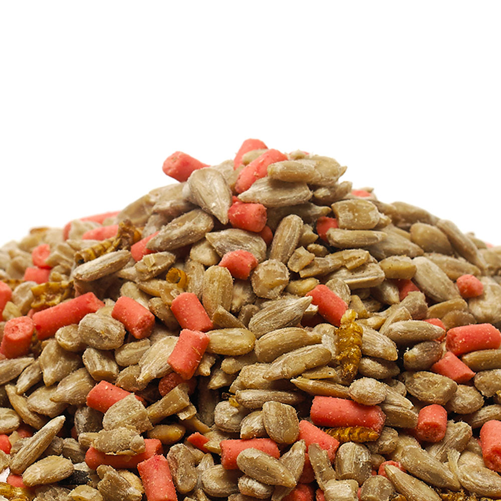 Bird Food Favourites Blend - RSPB Shop