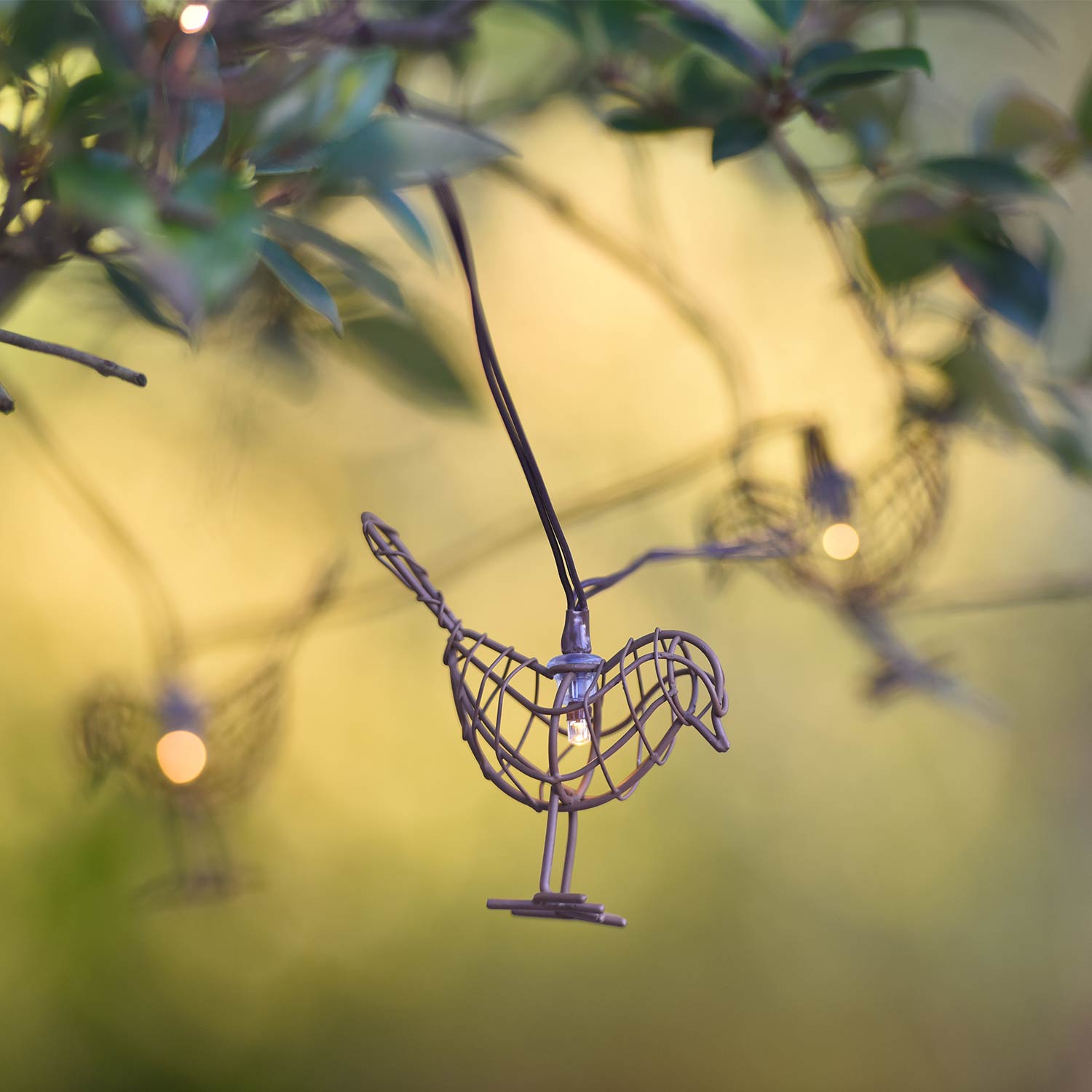 Gardening Essentials | Tools, Clothing, Books & More - RSPB Shop