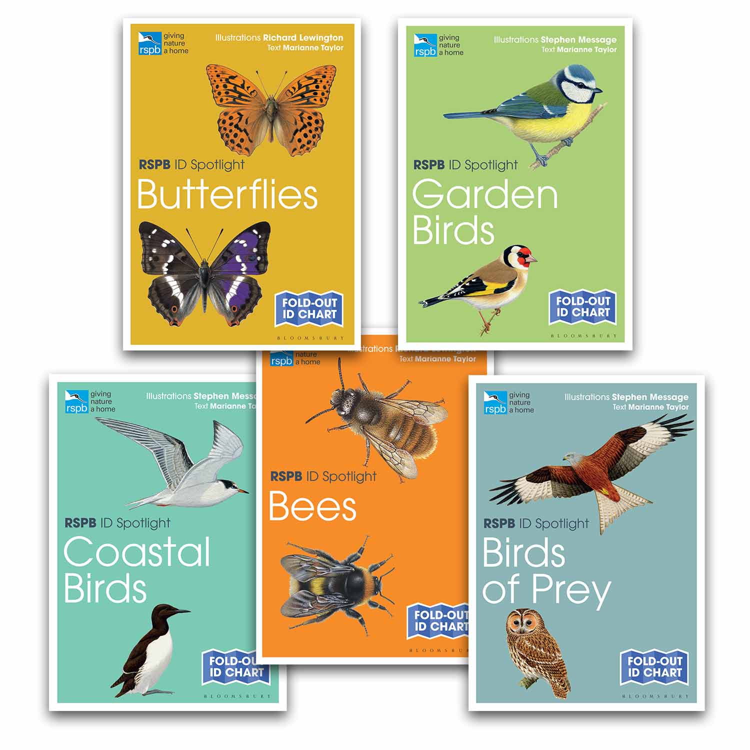 Wildlife Charts & Guides | Books & Media - RSPB Shop