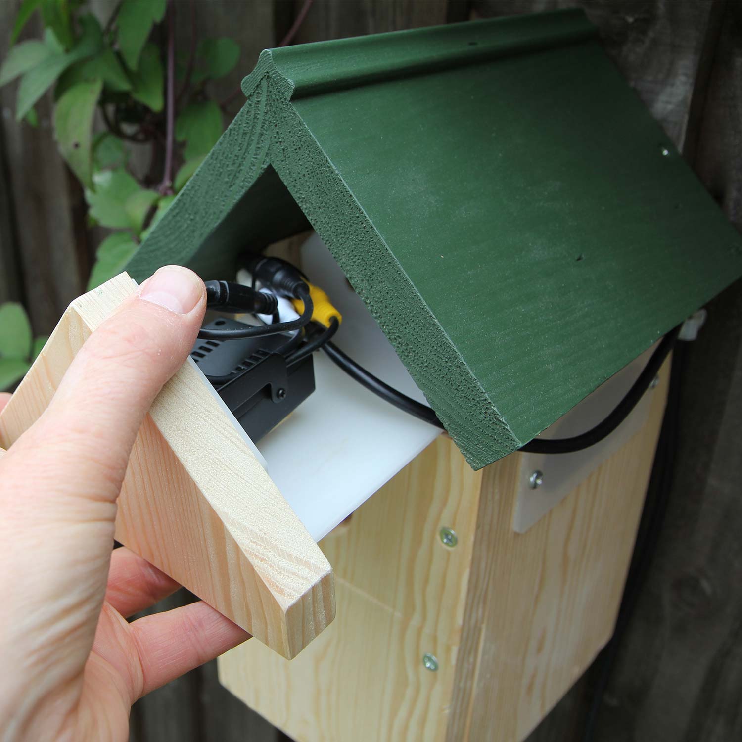 RSPB Nest Box Camera System - RSPB Shop