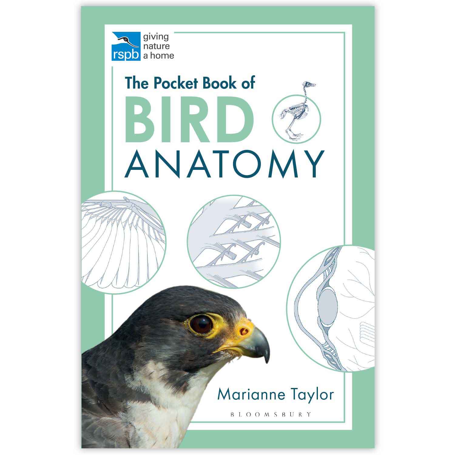 Bird Reference Books & Wildlife Guides | Books & Media - RSPB Shop