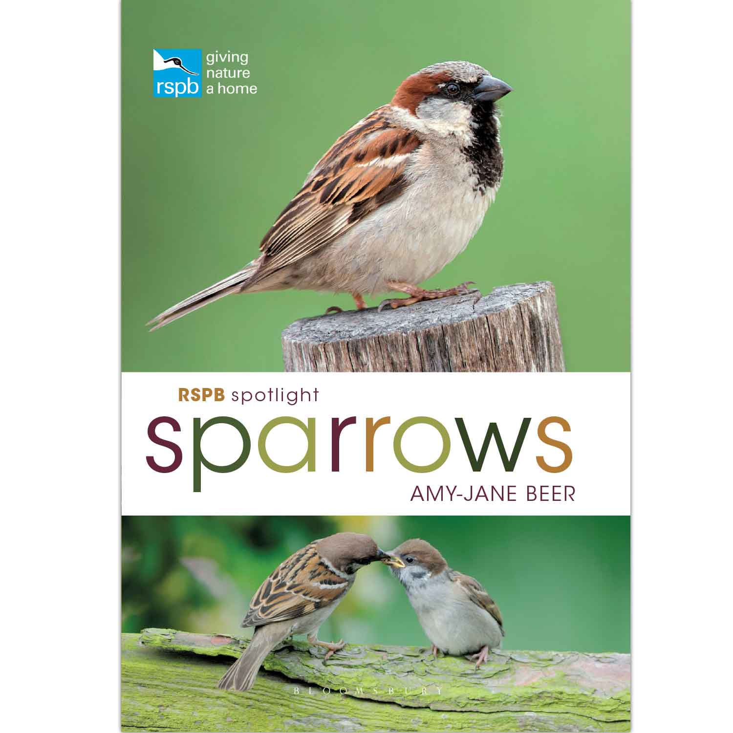 Bird Books | Reference Books, Charts & Media - RSPB Shop