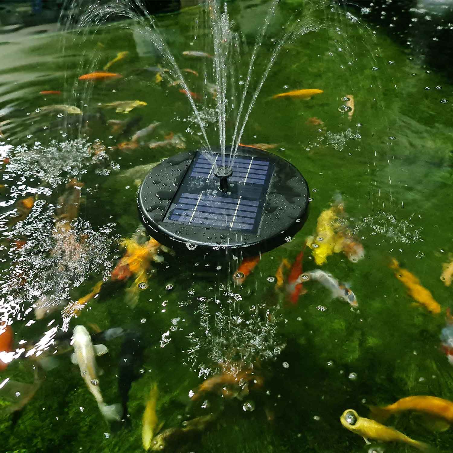 Floating Solar Pond Fountain by SolarShower - RSPB Shop