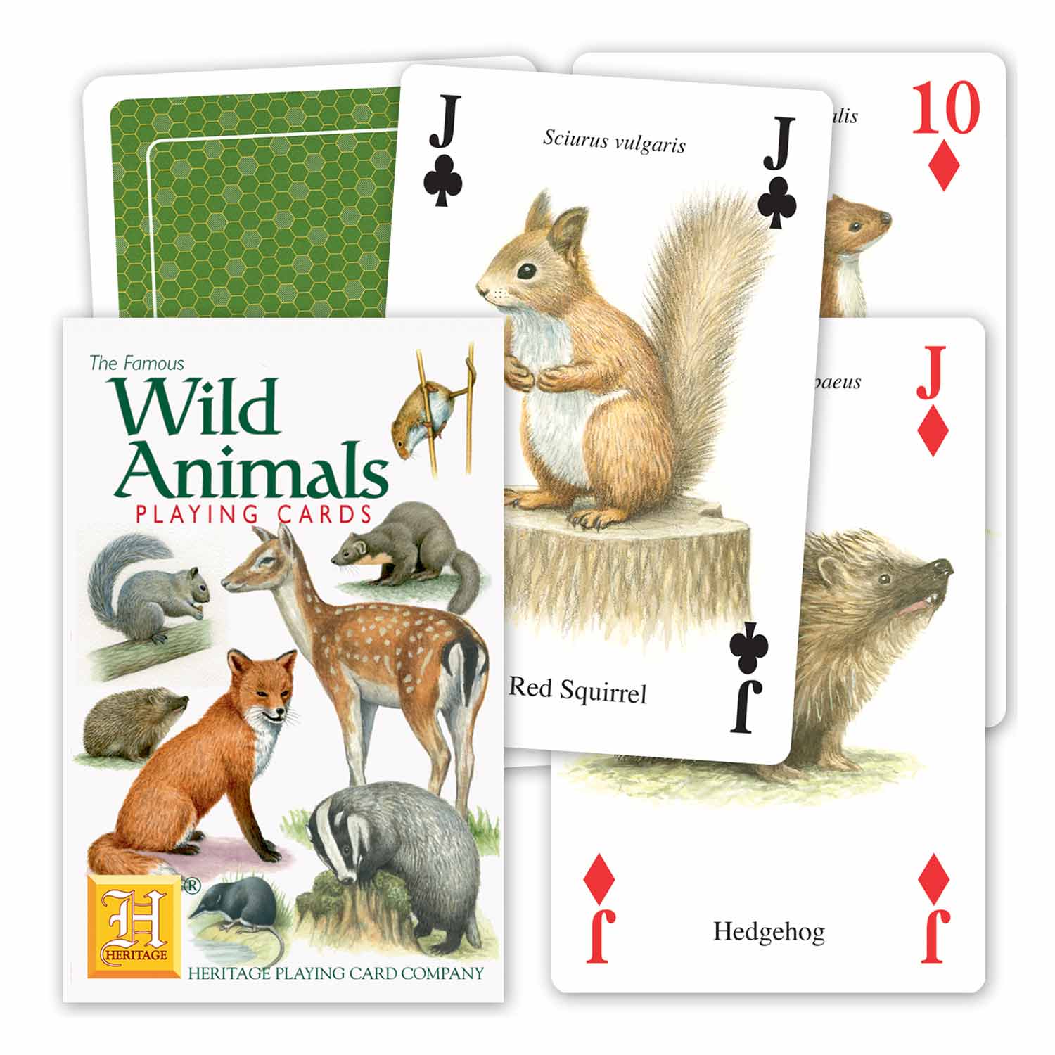 Bird & Nature Games | Card Games & Board Games - RSPB Shop